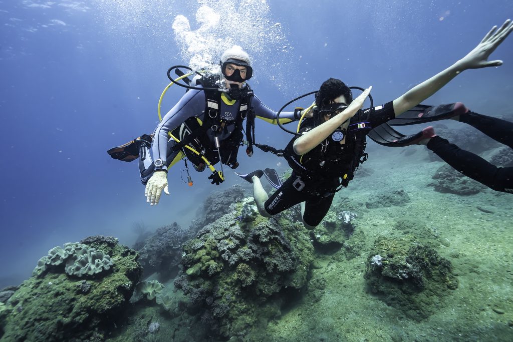 BEGINNER DIVE (NON-CERTIFIED DIVERS) - 1.800.000 vnd/pax - Cham Island ...