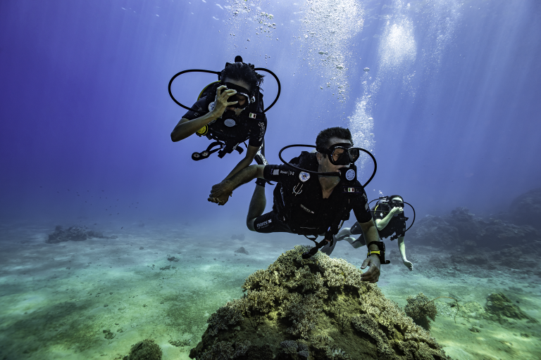 BEGINNER DIVE (NON-CERTIFIED DIVERS) - 2.100.000 vnd/pax - Cham Island ...