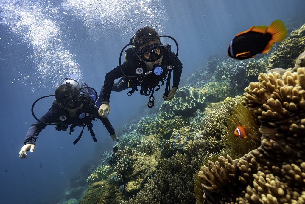 FUN DIVE (CERTIFIED DIVERS) - 2.200.000 vnd/pax - Cham Island Diving Center