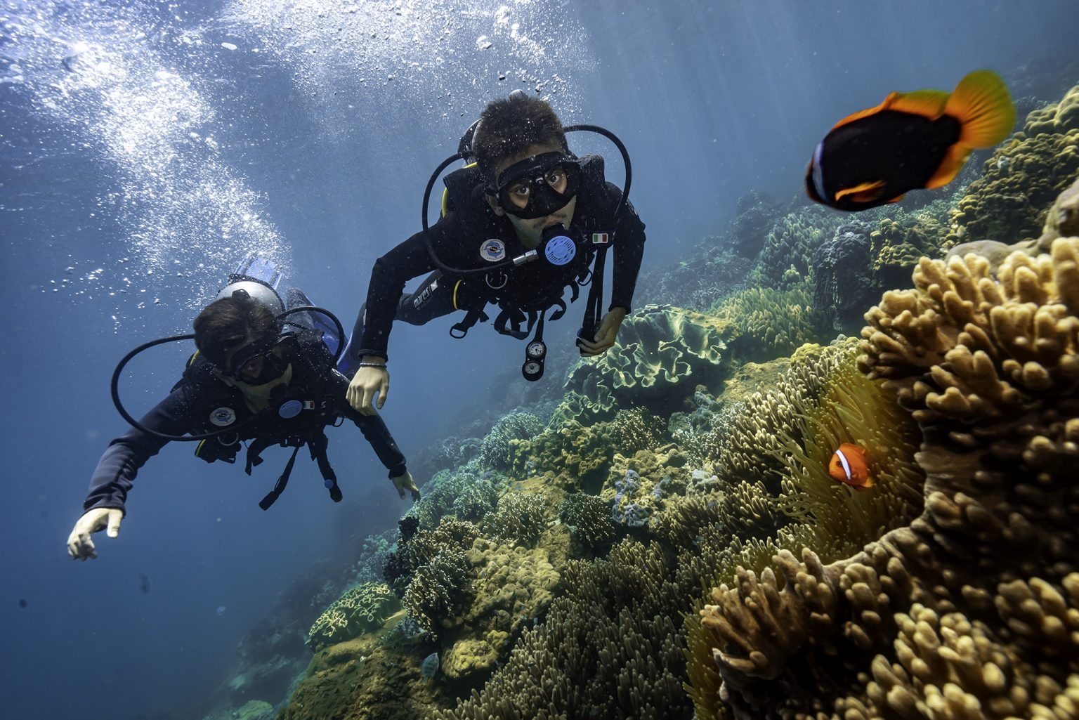 FUN DIVE (CERTIFIED DIVERS) - 2.400.000 vnd/pax - Cham Island Diving Center