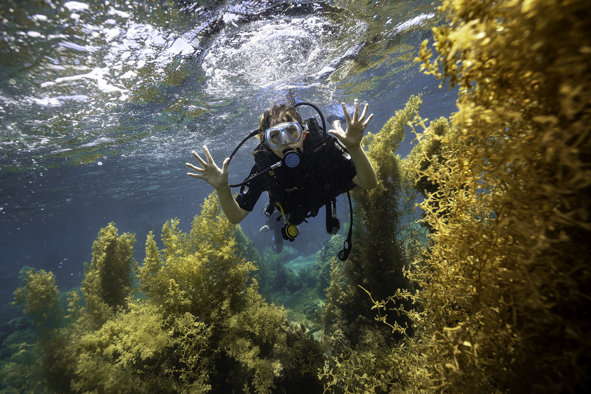 Gallery - Cham Island Diving Center