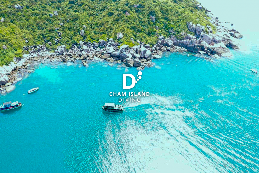 QUESTIONS & ANSWERS - Cham Island Diving Center