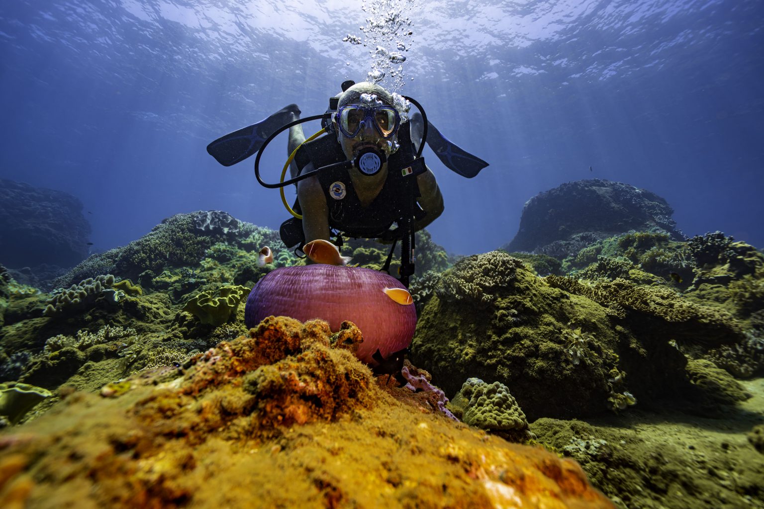 FUN DIVE (CERTIFIED DIVERS) - 2.400.000 vnd/pax - Cham Island Diving Center