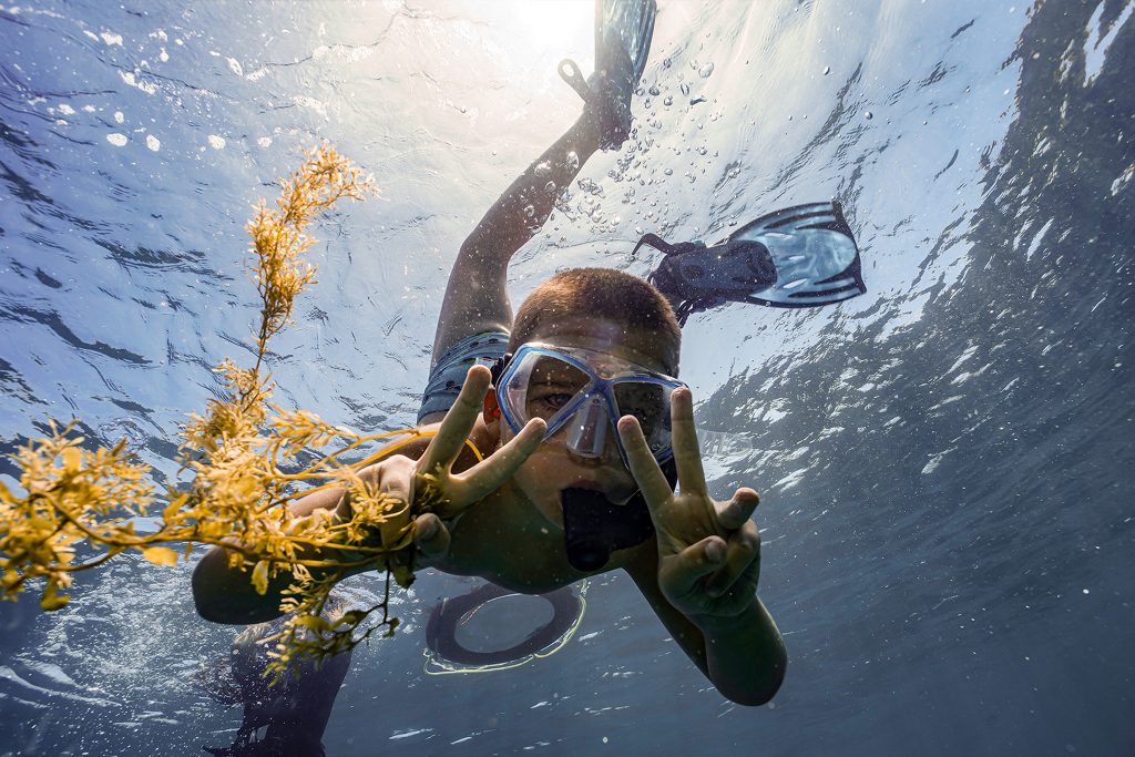 SNORKELING DAY TRIP - 1.500.000 vnd/pax - Cham Island Diving Center